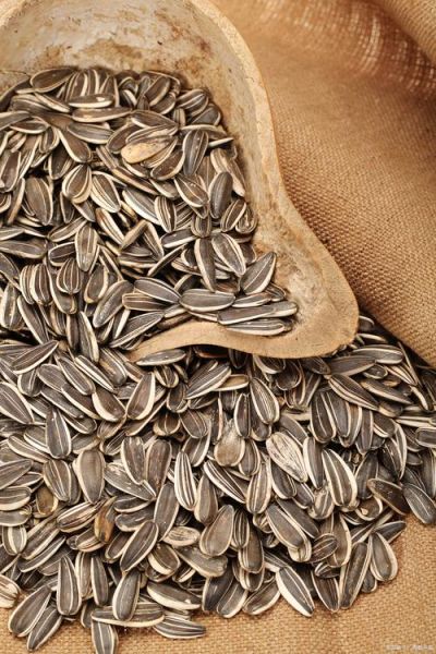 瓜子热量高吗_减肥能吃吗-第2张图片-山城妙识