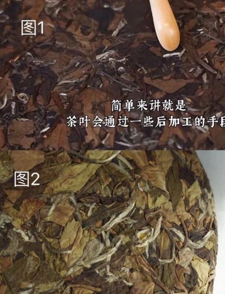 福鼎白茶怎么保存_福鼎白茶的功效与作用-第1张图片-山城妙识