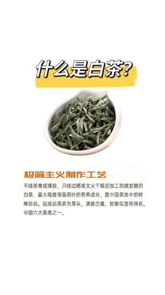 福鼎白茶怎么保存_福鼎白茶的功效与作用-第2张图片-山城妙识