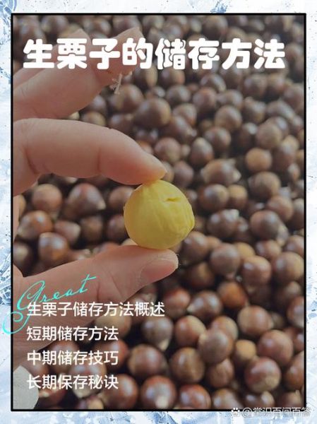 生的栗子怎么保存_生栗子可以放冰箱吗-第2张图片-山城妙识