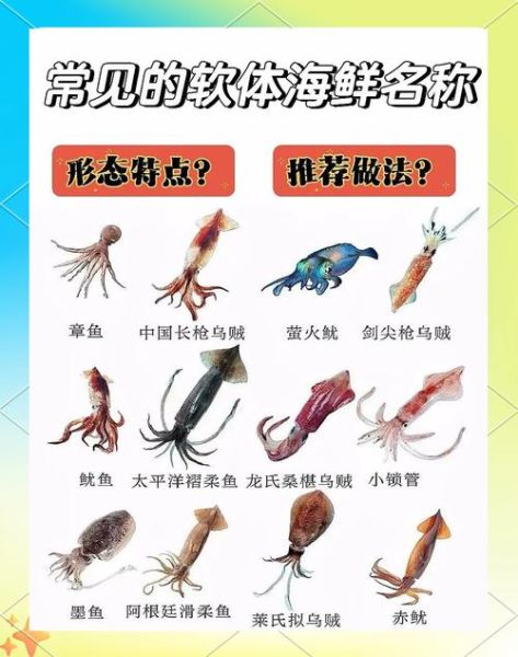 海鲜种类大全图片_如何分辨常见海鲜-第1张图片-山城妙识