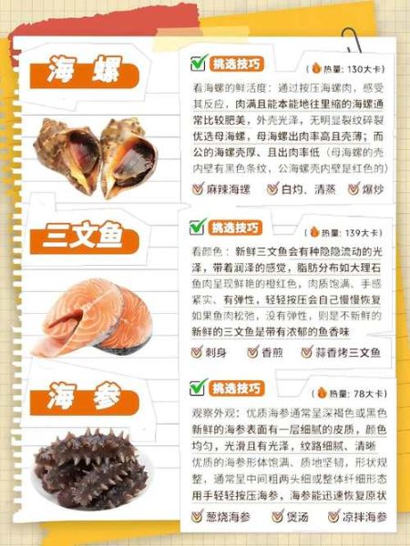 海鲜种类大全图片_如何分辨常见海鲜-第2张图片-山城妙识