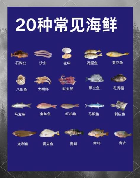 海鲜种类大全图片_如何分辨常见海鲜-第3张图片-山城妙识