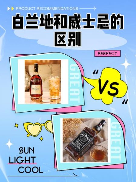 白兰地是什么酒_白兰地和威士忌区别-第1张图片-山城妙识