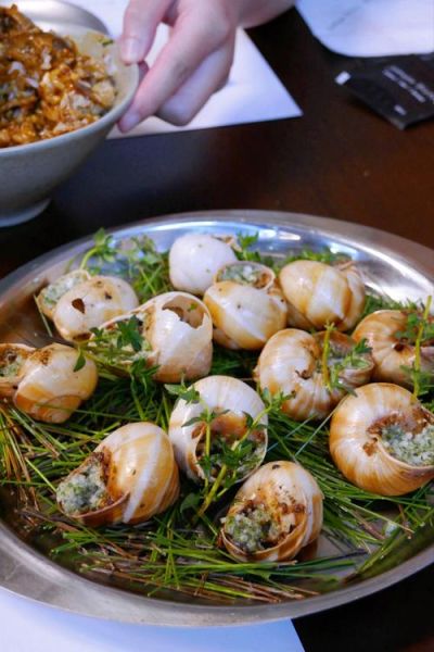 蜗牛吃什么东西_家养蜗牛饲料推荐-第2张图片-山城妙识