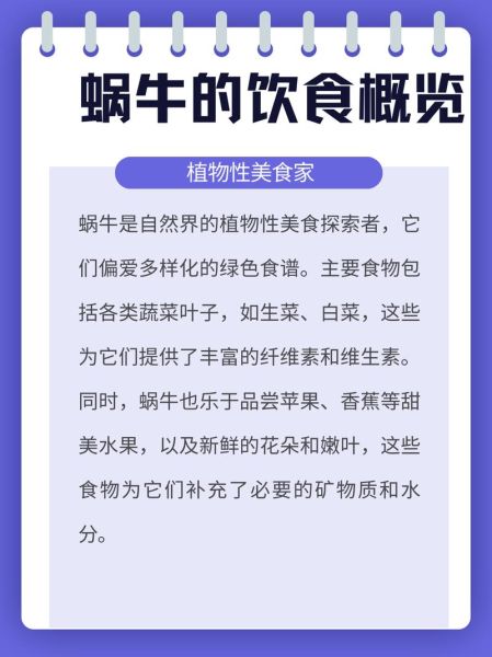蜗牛吃什么东西_家养蜗牛饲料推荐-第3张图片-山城妙识