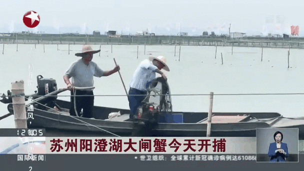 阳澄湖大闸蟹什么时候开捕_正宗开捕日期-第1张图片-山城妙识