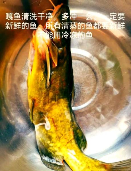 嘎鱼的营养价值及功效与作用_嘎鱼适合什么人吃-第3张图片-山城妙识