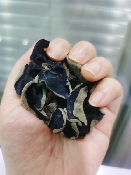 木耳中毒一般在几小时_木耳中毒症状多久出现-第2张图片-山城妙识