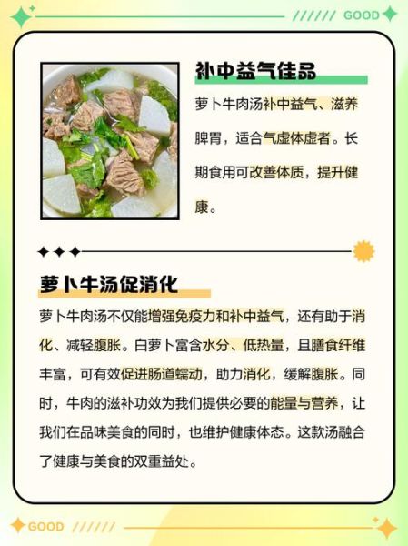 牛肉炖萝卜的功效与作用_适合什么人吃-第1张图片-山城妙识