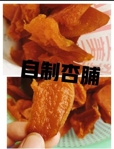 果脯的做法大全_如何自制果脯-第3张图片-山城妙识