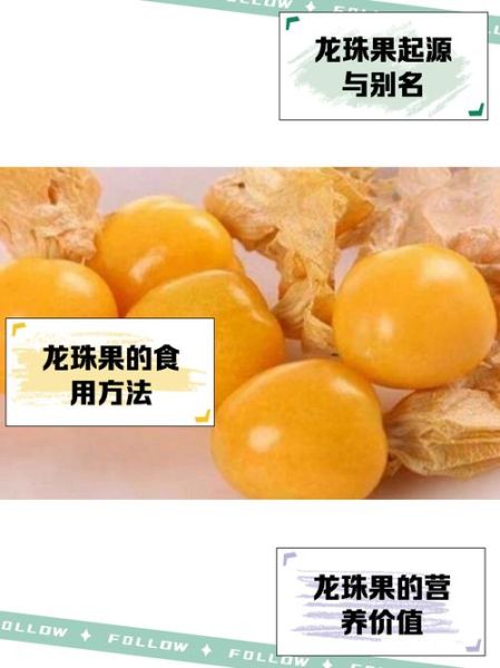 哥伦比亚龙珠果怎么吃_哥伦比亚龙珠果功效与禁忌-第1张图片-山城妙识