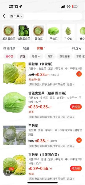 网上买菜哪个平台便宜_新鲜蔬菜怎么保存-第1张图片-山城妙识 网上买菜哪个平台便宜_新鲜蔬菜怎么保存-第1张图片-山城妙识