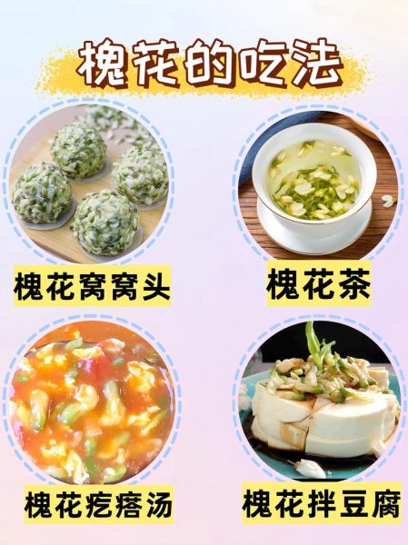 槐花怎么吃_槐花有哪些食用方法-第3张图片-山城妙识