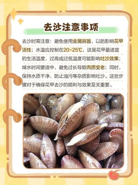 花甲怎么去沙最干净_花甲吐沙最快的方法-第3张图片-山城妙识