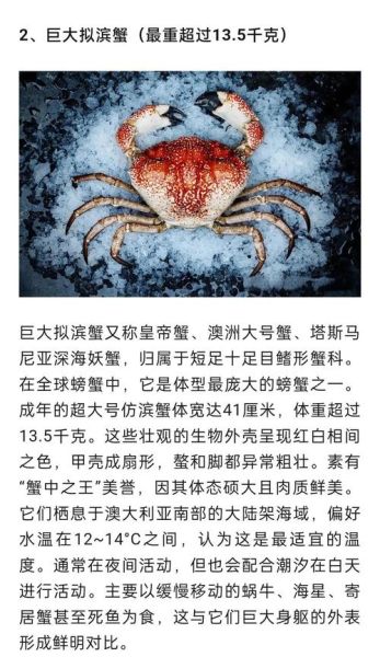 世界上最大的螃蟹有哪些_十大巨型蟹排名-第1张图片-山城妙识 世界上最大的螃蟹有哪些_十大巨型蟹排名-第1张图片-山城妙识