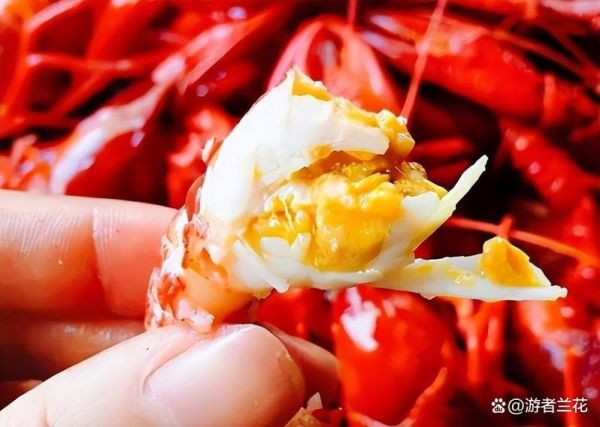 小龙虾原产地是哪里_小龙虾什么时候传入中国-第1张图片-山城妙识 小龙虾原产地是哪里_小龙虾什么时候传入中国-第1张图片-山城妙识