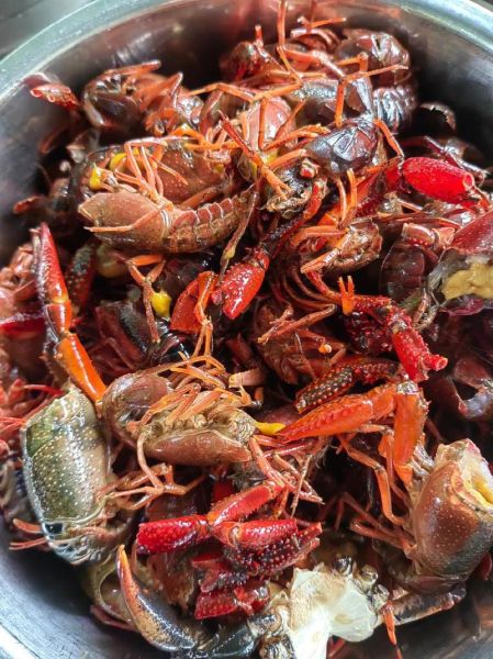 小龙虾原产地是哪里_小龙虾什么时候传入中国-第3张图片-山城妙识 小龙虾原产地是哪里_小龙虾什么时候传入中国-第3张图片-山城妙识