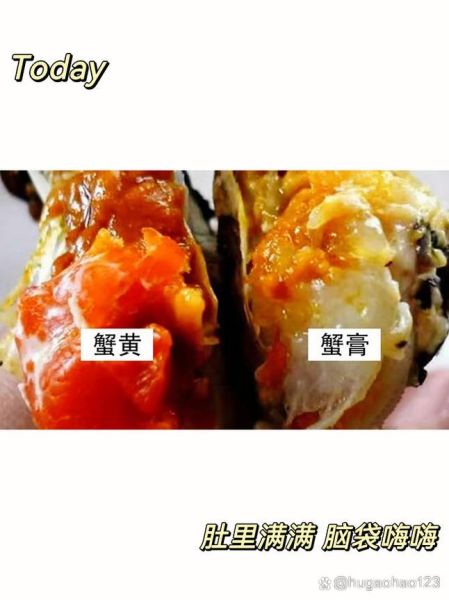 蟹膏是螃蟹的什么_蟹膏和蟹黄的区别-第1张图片-山城妙识 蟹膏是螃蟹的什么_蟹膏和蟹黄的区别-第1张图片-山城妙识