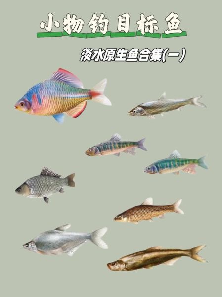 中国淡水鱼种类有哪些_如何识别常见淡水鱼-第3张图片-山城妙识