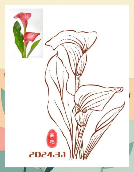 马蹄莲简笔画怎么画_马蹄莲简笔画步骤-第3张图片-山城妙识