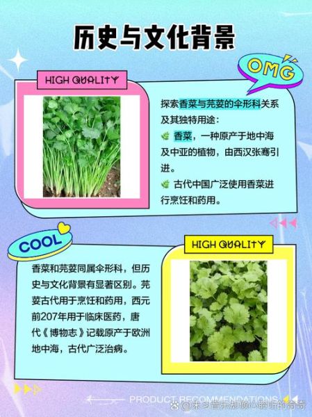 芫荽和香菜哪个是方言_区别与来源-第1张图片-山城妙识