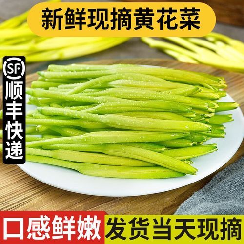 新鲜金针菜怎么焯水去毒_家常金针菜做法步骤-第1张图片-山城妙识