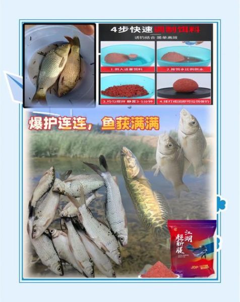 冬钓鲫鱼饵料配方_冬天用什么味型最好-第2张图片-山城妙识