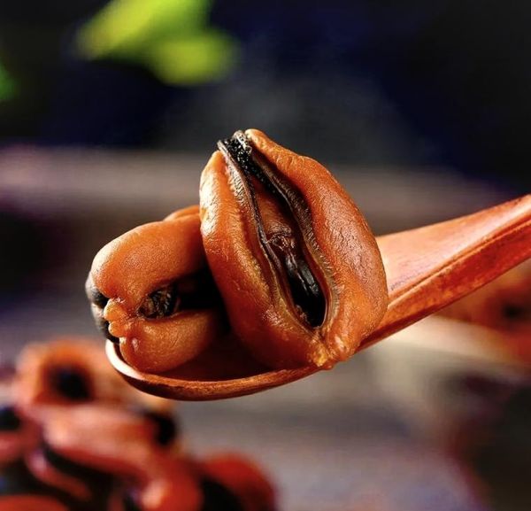 淡菜干怎么泡发_淡菜干的家常做法窍门-第1张图片-山城妙识