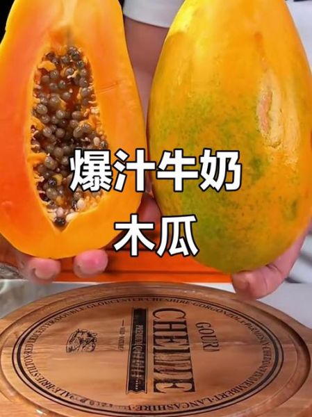 木瓜牛奶饮料怎么做_木瓜牛奶饮料的做法-第2张图片-山城妙识