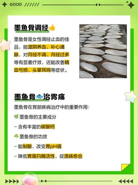 墨鱼骨是什么东西_墨鱼骨有什么作用-第1张图片-山城妙识 墨鱼骨是什么东西_墨鱼骨有什么作用-第1张图片-山城妙识