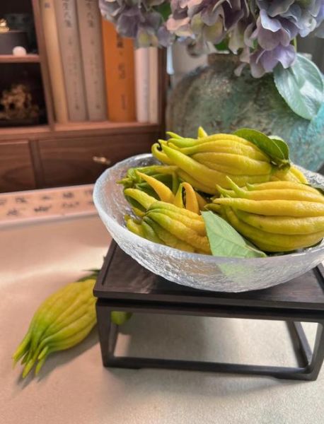 佛手多少钱一斤_新鲜佛手价格行情-第2张图片-山城妙识 佛手多少钱一斤_新鲜佛手价格行情-第2张图片-山城妙识