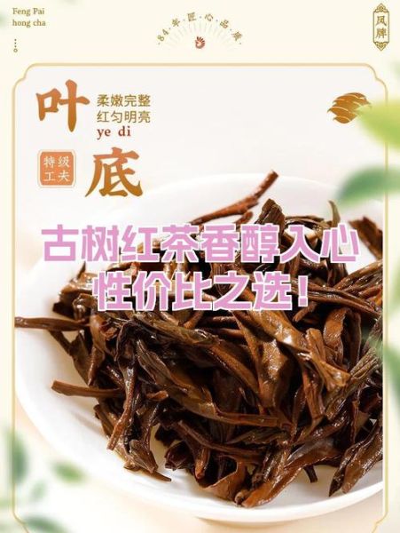 古树茶属于什么茶_古树茶是红茶还是绿茶-第3张图片-山城妙识