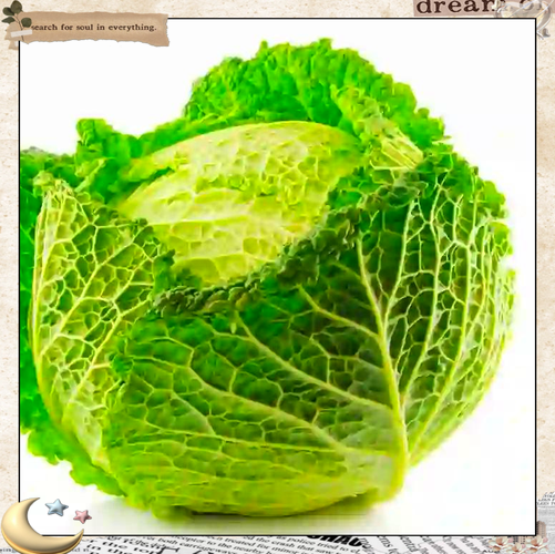 卷心菜图片长什么样_卷心菜和包菜区别-第1张图片-山城妙识