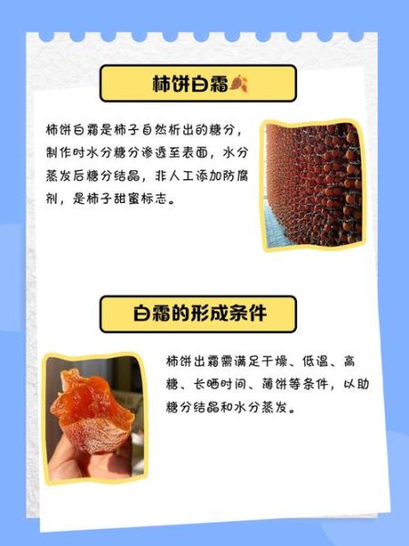 柿饼怎样做才能出现白霜_柿饼出霜失败原因-第1张图片-山城妙识