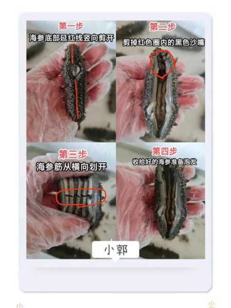 干海参怎么泡发_家庭泡发干海参的正确方法-第2张图片-山城妙识 干海参怎么泡发_家庭泡发干海参的正确方法-第2张图片-山城妙识