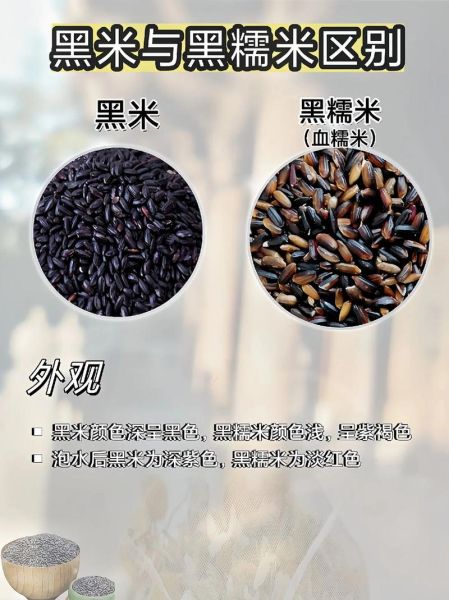 黑糯米和黑米的区别_哪个更营养-第1张图片-山城妙识