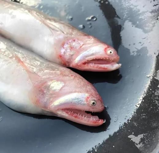 虾潺怎么做好吃_虾潺做法步骤详解-第2张图片-山城妙识