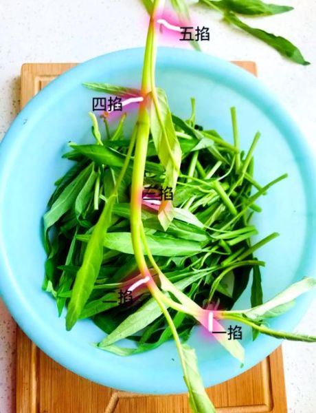 腐乳空心菜怎么烧_空心菜用白腐乳还是红腐乳-第2张图片-山城妙识