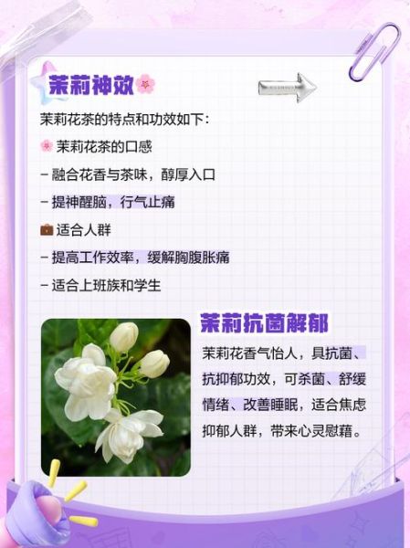 茉莉花泡水喝的功效_茉莉花泡水可以天天喝吗-第1张图片-山城妙识