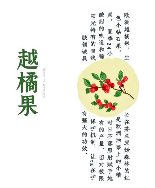 越橘提取物对眼睛有什么好处_越橘提取物副作用有哪些-第2张图片-山城妙识 越橘提取物对眼睛有什么好处_越橘提取物副作用有哪些-第2张图片-山城妙识