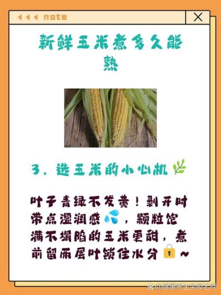 煮玉米水开后几分钟能熟_玉米煮多久才软糯-第2张图片-山城妙识 煮玉米水开后几分钟能熟_玉米煮多久才软糯-第2张图片-山城妙识