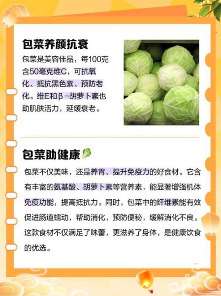 包菜的功效与作用_包菜哪些人不能吃-第2张图片-山城妙识