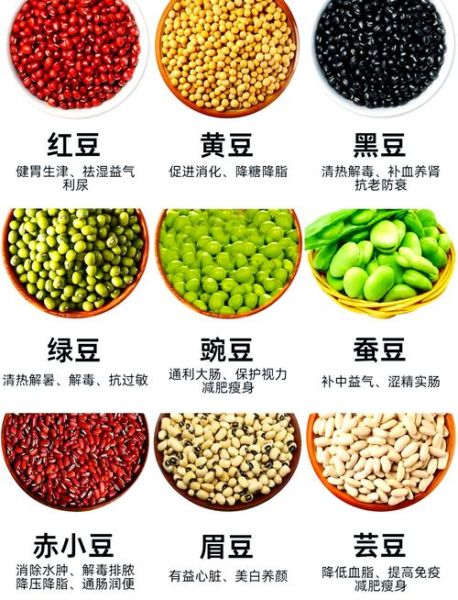 豆类有哪些_常见豆类品种大全-第3张图片-山城妙识