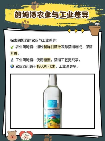 朗姆酒的主要原料是什么_甘蔗糖蜜还是甘蔗汁-第2张图片-山城妙识 朗姆酒的主要原料是什么_甘蔗糖蜜还是甘蔗汁-第2张图片-山城妙识