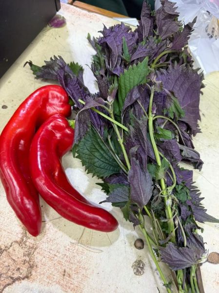 朝鲜辣酱怎么做最正宗_朝鲜辣酱配方比例-第1张图片-山城妙识