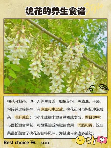 被晒干的槐花怎么吃_槐花干的家常做法-第1张图片-山城妙识