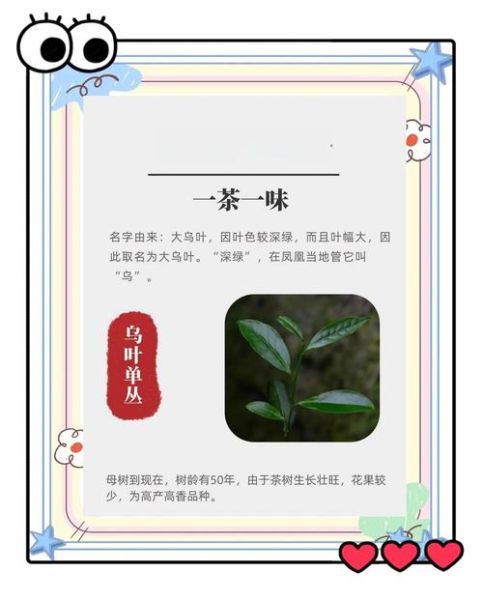 单丛茶属于什么茶_凤凰单丛茶是绿茶还是乌龙茶-第2张图片-山城妙识 单丛茶属于什么茶_凤凰单丛茶是绿茶还是乌龙茶-第2张图片-山城妙识