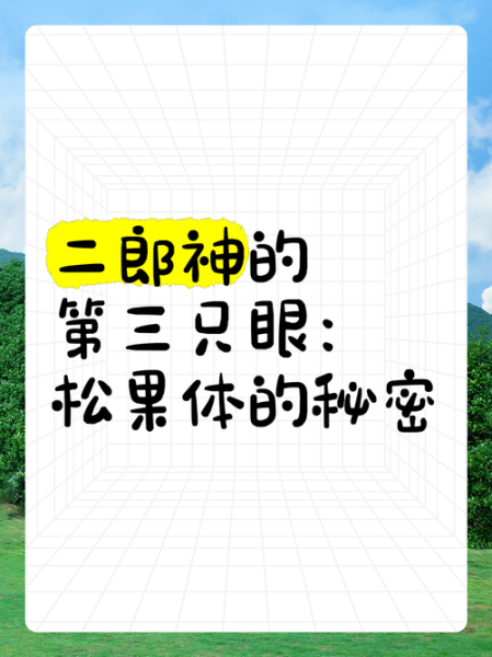 松果体开启最简单的方法_如何激活第三只眼-第2张图片-山城妙识