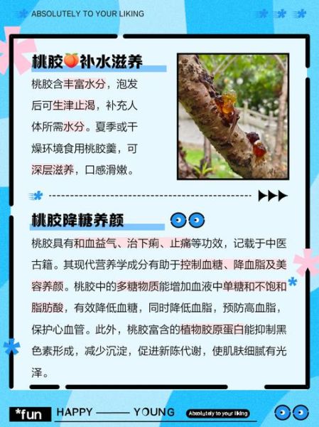 桃胶的功效与作用有哪些_桃胶的禁忌人群有哪些-第1张图片-山城妙识